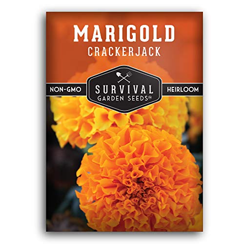 Survival Garden Seeds - Crackerjack Marigold Seed for Planting - Packet with Instructions to Plant and Grow in Your Home Vegetable Garden - Non-GMO Heirloom Variety