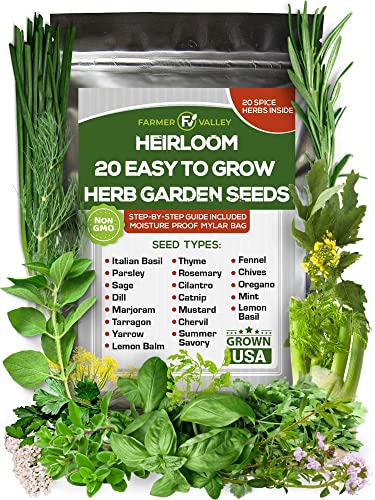 20 Most Needed Spice Seeds for Home Gardening - Kitchen & Culinary Herb Plant Seeds for Indoor, Outdoor, and Hydroponic Growing, Including Basil, Parsley, Rosemary, Mint & More