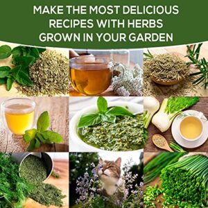 20 Most Needed Spice Seeds for Home Gardening - Kitchen & Culinary Herb Plant Seeds for Indoor, Outdoor, and Hydroponic Growing, Including Basil, Parsley, Rosemary, Mint & More