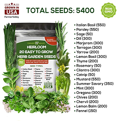 20 Most Needed Spice Seeds for Home Gardening - Kitchen & Culinary Herb Plant Seeds for Indoor, Outdoor, and Hydroponic Growing, Including Basil, Parsley, Rosemary, Mint & More