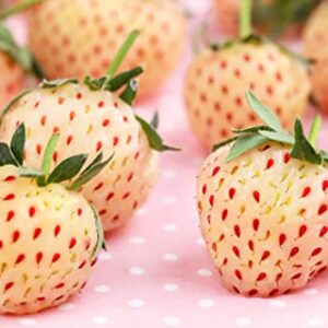 White Strawberry Seeds - 200+ Seeds - White Pineberry Seeds - Made in USA, Ships from Iowa.