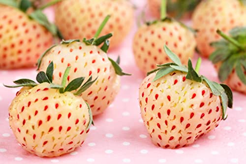 White Strawberry Seeds - 200+ Seeds - White Pineberry Seeds - Made in USA, Ships from Iowa.