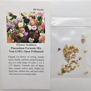 David's Garden Seeds Flower Scabiosa Pincushion Formula Mix 4222 (Multi) 50 Non-GMO, Heirloom Seeds