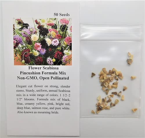 David's Garden Seeds Flower Scabiosa Pincushion Formula Mix 4222 (Multi) 50 Non-GMO, Heirloom Seeds