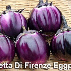 Please Read! This is A Mix!!! 30+ Eggplant Mix Seeds 11 Varieties Heirloom Non-GMO Aubergine, Asian, European, Italian, Profilic, Super Delicious, from USA