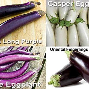 Please Read! This is A Mix!!! 30+ Eggplant Mix Seeds 11 Varieties Heirloom Non-GMO Aubergine, Asian, European, Italian, Profilic, Super Delicious, from USA