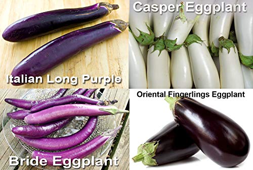 Please Read! This is A Mix!!! 30+ Eggplant Mix Seeds 11 Varieties Heirloom Non-GMO Aubergine, Asian, European, Italian, Profilic, Super Delicious, from USA