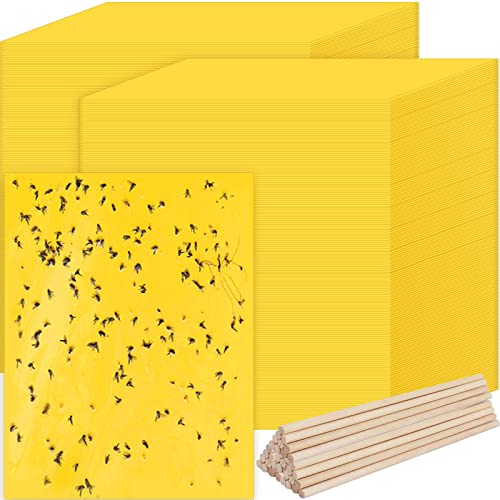 300 Sheets Fruit Fly Trap Yellow Sticky Gnat Traps Double Sided Gnat Traps Fruit Fly Killer with 300 Pcs Twist Ties 100 Pcs Wooden Sticks for House Indoor Outdoor Plants