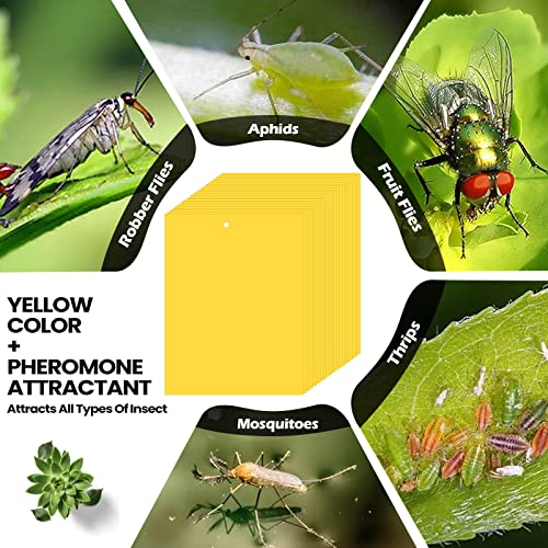 300 Sheets Fruit Fly Trap Yellow Sticky Gnat Traps Double Sided Gnat Traps Fruit Fly Killer with 300 Pcs Twist Ties 100 Pcs Wooden Sticks for House Indoor Outdoor Plants