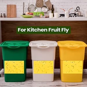 300 Sheets Fruit Fly Trap Yellow Sticky Gnat Traps Double Sided Gnat Traps Fruit Fly Killer with 300 Pcs Twist Ties 100 Pcs Wooden Sticks for House Indoor Outdoor Plants