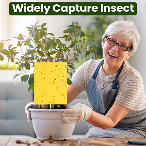 300 Sheets Fruit Fly Trap Yellow Sticky Gnat Traps Double Sided Gnat Traps Fruit Fly Killer with 300 Pcs Twist Ties 100 Pcs Wooden Sticks for House Indoor Outdoor Plants