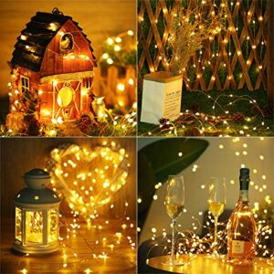 Brizled Solar Fairy Lights, 2 Pack Each 66ft 200 LED Super Bright Solar String Lights Waterproof, 8 Modes Outdoor Solar Twinkle Lights, Solar Powered Garden Lights String for Indoor Outside Warm White