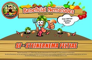 5 million live beneficial nematodes sf – fungus gnat/rootknot gall exterminator