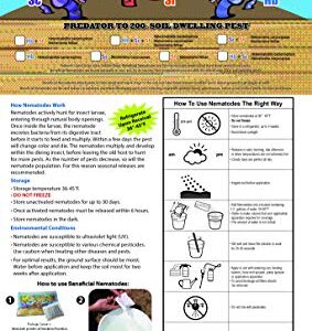 5 Million Live Beneficial Nematodes Sf - Fungus Gnat/Rootknot Gall Exterminator