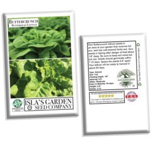 Buttercrunch Butterhead Lettuce Seeds for Planting, 1000 Heirloom Seeds Per Packet, (Isla's Garden Seeds), Non GMO Seeds, Botanical Name: Lactuca Sativa, Great Home Garden Gift