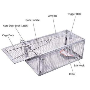 JGRZF Quality Chipmunk Trap 1 Door Humane Live Animal Mouse Cage Rat Mouse Mice Traps for Small Rodent Animals, for Indoor and Outdoor