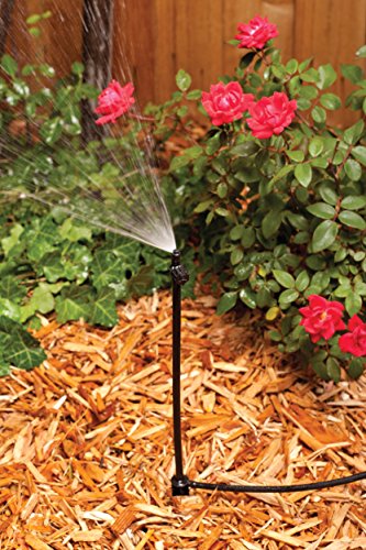 Rain Bird MSQ2PKS Drip Irrigation 10-32 Threaded Micro Nozzle, 0-10' Spray Distance, 2-Pack, Quarter-Circle 90° Pattern, Black