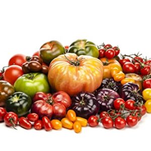 300+ Tomatoes Seeds for Planting, 6 Variety Pack Heirloom Non-GMO Small Cherry Tomato, Golden Jubilee, Black Tomato, Yellow Pear, Roma Tomato, Beefsteak Slicing Tomato