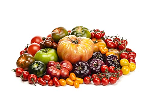 300+ Tomatoes Seeds for Planting, 6 Variety Pack Heirloom Non-GMO Small Cherry Tomato, Golden Jubilee, Black Tomato, Yellow Pear, Roma Tomato, Beefsteak Slicing Tomato