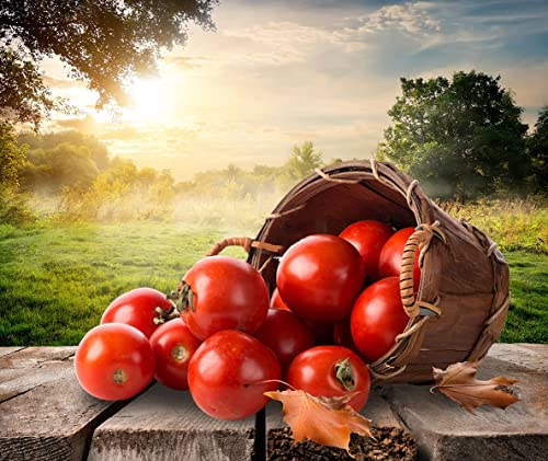 300+ Tomatoes Seeds for Planting, 6 Variety Pack Heirloom Non-GMO Small Cherry Tomato, Golden Jubilee, Black Tomato, Yellow Pear, Roma Tomato, Beefsteak Slicing Tomato