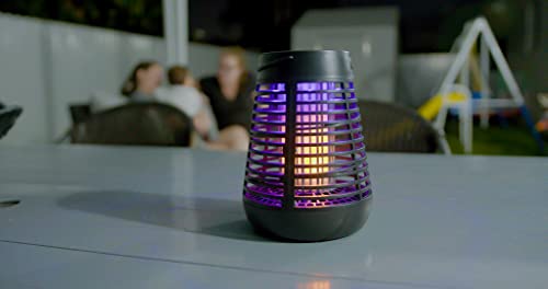 PIC Portable Solar Insect Killer Torch (FLPT), Bug Zapper and Flame Accent Light, Kills Bugs on Contact