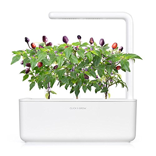 Click and Grow Smart Garden Purple Chili Plant Pods, 3-Pack