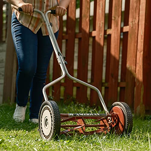 American Lawn Mower Company 1304-14 14-Inch 5-Blade Push Reel Lawn Mower