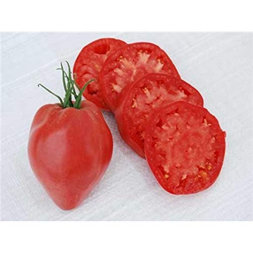 Hungarian Heart Tomato Seeds (20 Seed Pack)