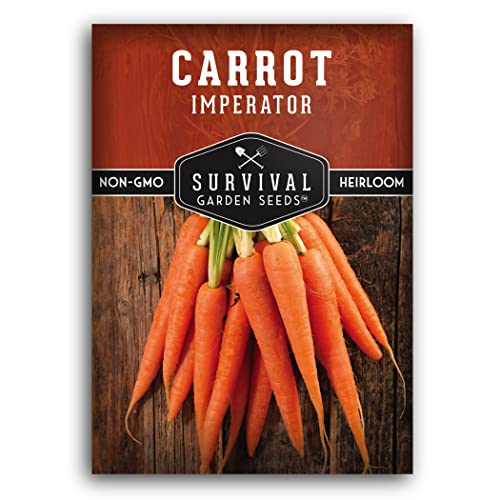 Survival Garden Seeds - Imperator 58 Carrot Seed for Planting - Packet with Instructions to Plant and Grow Award Winning Danvers Carrots in Your Home Vegetable Garden - Non-GMO Heirloom Variety