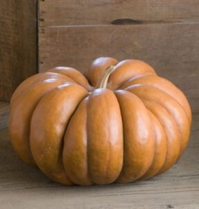 david’s garden seeds pumpkin musquee de provence fba-2621 (orange) 25 non-gmo, heirloom seeds