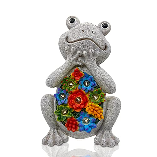 Nacome Solar Garden Statue Frog Figurine with Succulent and 7 LED Lights - Outdoor Lawn Decor Garden Frog Statue for Patio, Balcony, Yard, Lawn Ornament