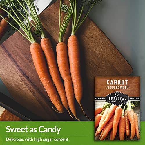 Survival Garden Seeds - Tendersweet Carrot Seed for Planting - Packet with Instructions to Plant and Grow Long Crunchy Orange Carrots in Your Home Vegetable Garden - Non-GMO Heirloom Variety