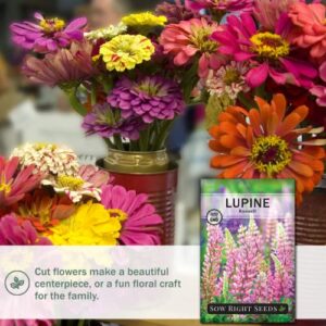 Sow Right Seeds - Russell Lupine Seeds to Plant - Full Instructions for Planting and Growing a Perennial Flower Garden; Non-GMO Heirloom Seeds; Wonderful Gardening Gift (1)