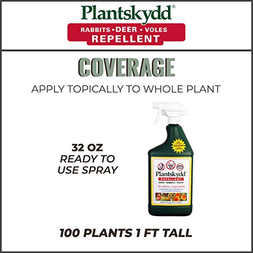 Plantskydd Animal Repellent - Repels Deer, Rabbits, Elk, Moose, Hares, Voles, Squirrels, Chipmunks and Other Herbivores; Ready to Use Liquid - 32 Oz Spray Bottle (PS-1L)