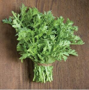 david’s garden seeds greens asian shungiku fba-00033 (green) 200 non-gmo, heirloom seeds