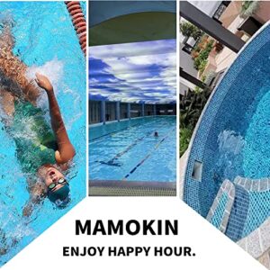 Mamokin Replaces 6CH-940 Spa Filter，Unicel 6CH-940，Filbur FC-0359, 817-0050, 25252, 03FIL1400,PWW50P3(NOT PWW50P4), (1 1/2" Coarse Thread), Waterway Front Access Skimmer, SAE Thread Filter 2 Pack