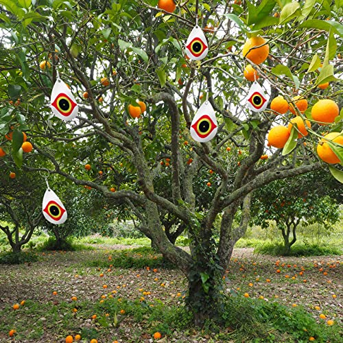 Bird Scare Device, Hanging Reflector Board to Scare Bird Away, Reflective Owl Scarecrow Keep Bird Away from Garden, Patio, Windows, Balcony, Orchard