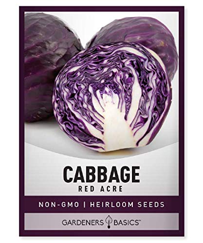 Cabbage Seeds for Planting - Red Acre Heirloom, Non-GMO Vegetable Variety- 1 Gram Seeds Great for Summer, Spring, Fall and Winter Gardens by Gardeners Basics