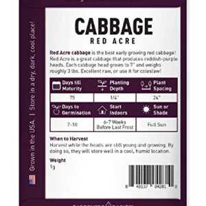 Cabbage Seeds for Planting - Red Acre Heirloom, Non-GMO Vegetable Variety- 1 Gram Seeds Great for Summer, Spring, Fall and Winter Gardens by Gardeners Basics