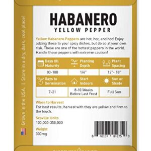 Yellow Habanero Pepper Seeds for Planting 100 Heirloom Non-GMO Habanero Peppers Plant Seeds for Home Garden Vegetables Makes a Great Gift for Gardeners by Gardeners Basics