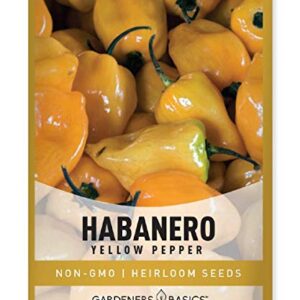 Yellow Habanero Pepper Seeds for Planting 100 Heirloom Non-GMO Habanero Peppers Plant Seeds for Home Garden Vegetables Makes a Great Gift for Gardeners by Gardeners Basics