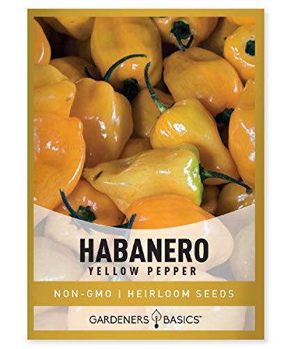 Yellow Habanero Pepper Seeds for Planting 100 Heirloom Non-GMO Habanero Peppers Plant Seeds for Home Garden Vegetables Makes a Great Gift for Gardeners by Gardeners Basics