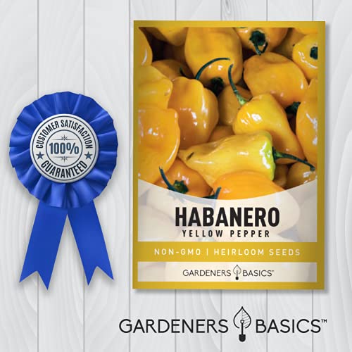 Yellow Habanero Pepper Seeds for Planting 100 Heirloom Non-GMO Habanero Peppers Plant Seeds for Home Garden Vegetables Makes a Great Gift for Gardeners by Gardeners Basics