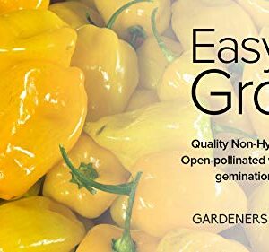 Yellow Habanero Pepper Seeds for Planting 100 Heirloom Non-GMO Habanero Peppers Plant Seeds for Home Garden Vegetables Makes a Great Gift for Gardeners by Gardeners Basics