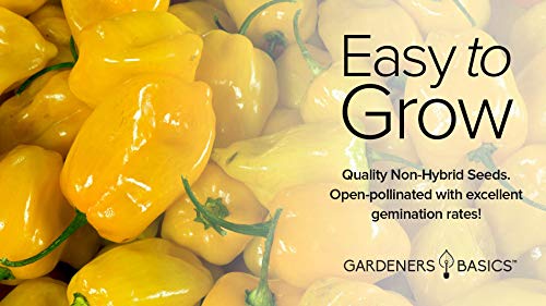 Yellow Habanero Pepper Seeds for Planting 100 Heirloom Non-GMO Habanero Peppers Plant Seeds for Home Garden Vegetables Makes a Great Gift for Gardeners by Gardeners Basics