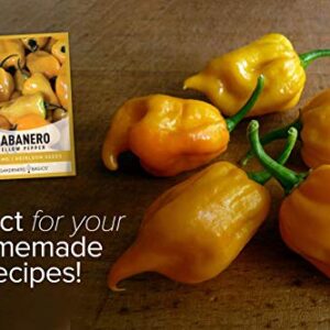 Yellow Habanero Pepper Seeds for Planting 100 Heirloom Non-GMO Habanero Peppers Plant Seeds for Home Garden Vegetables Makes a Great Gift for Gardeners by Gardeners Basics