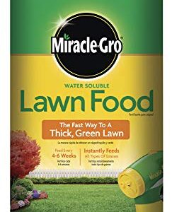 Miracle-Gro® Water Soluble Lawn Food, 5 lb.