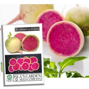 watermelon radish seeds for planting, 120+ heirloom seeds per packet, (isla’s garden seeds), non gmo seeds, botanical name: raphanus sativus acanthiformis, great home garden gift