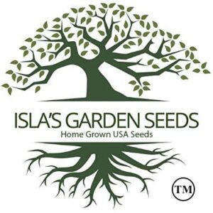 Provider Bush Green Bean Seeds for Planting, 30+ Heirloom Seeds Per Packet, (Isla's Garden Seeds), Non GMO Seeds, Botanical Name: Phaseolus vulgaris, Great Home Garden Gift