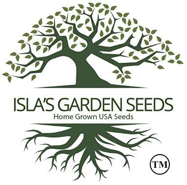 Provider Bush Green Bean Seeds for Planting, 30+ Heirloom Seeds Per Packet, (Isla's Garden Seeds), Non GMO Seeds, Botanical Name: Phaseolus vulgaris, Great Home Garden Gift